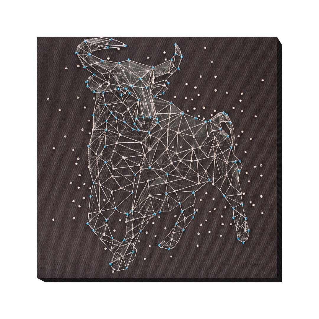 DIY Bead Embroidery Kit, Beadwork Craft Kit for Adults, Art Canvas Wall ...