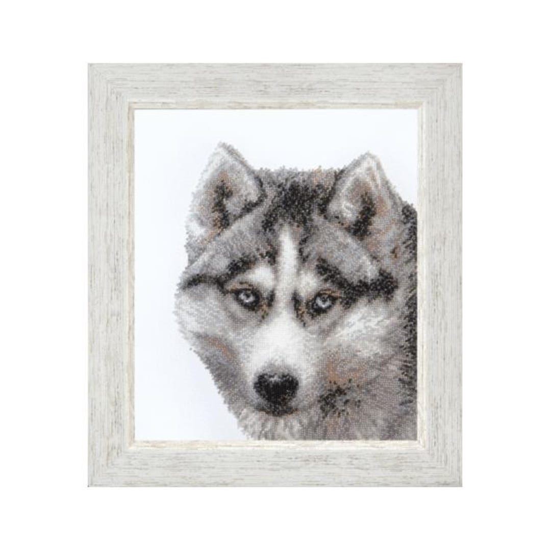 DIY Beadwork Kit "husky" 11.0"x9.1", Bead Embroidery Kit, DIY Craft Kit ...