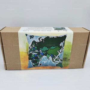 DIY Needlepoint Pillow Kit "map of the World", Tapestry Cushion Kit ...