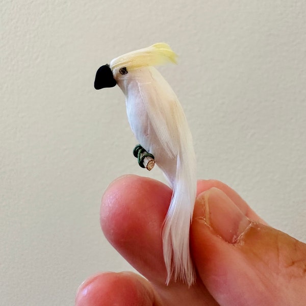 Miniature Bird - Etsy