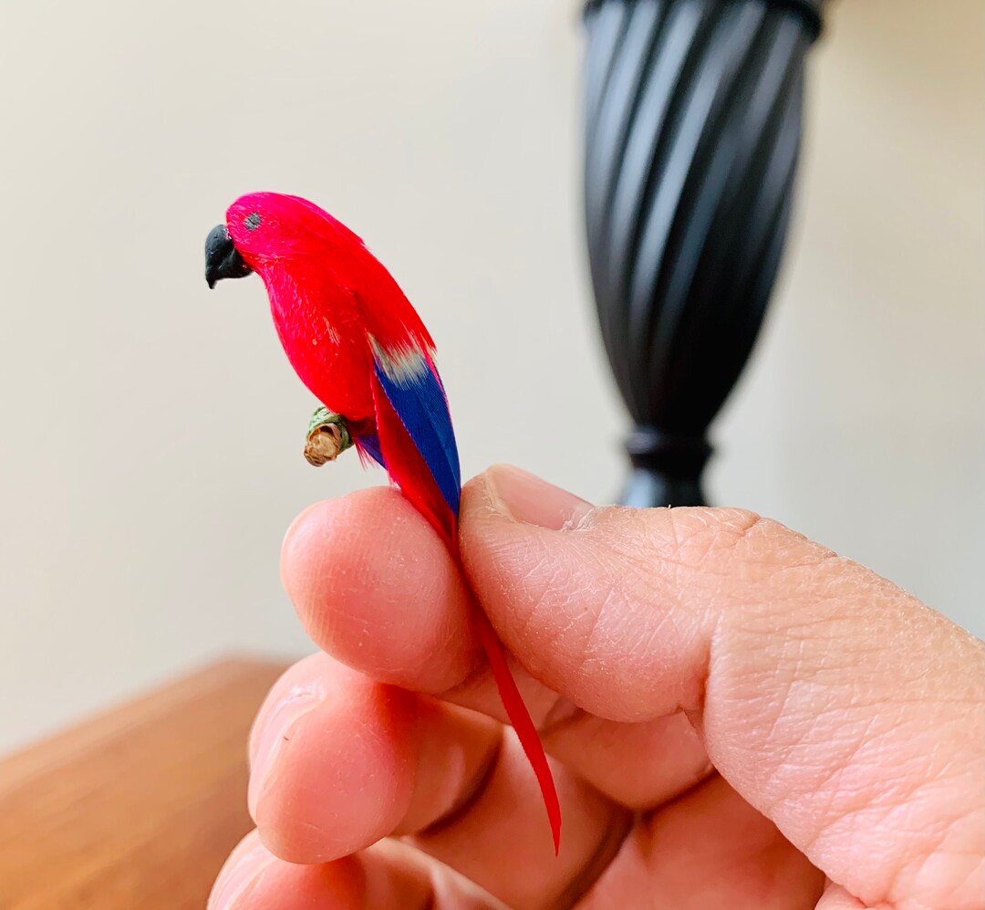 1:12 Scale Miniature Dollhouse Red Parrot, Miniature Bird - Etsy