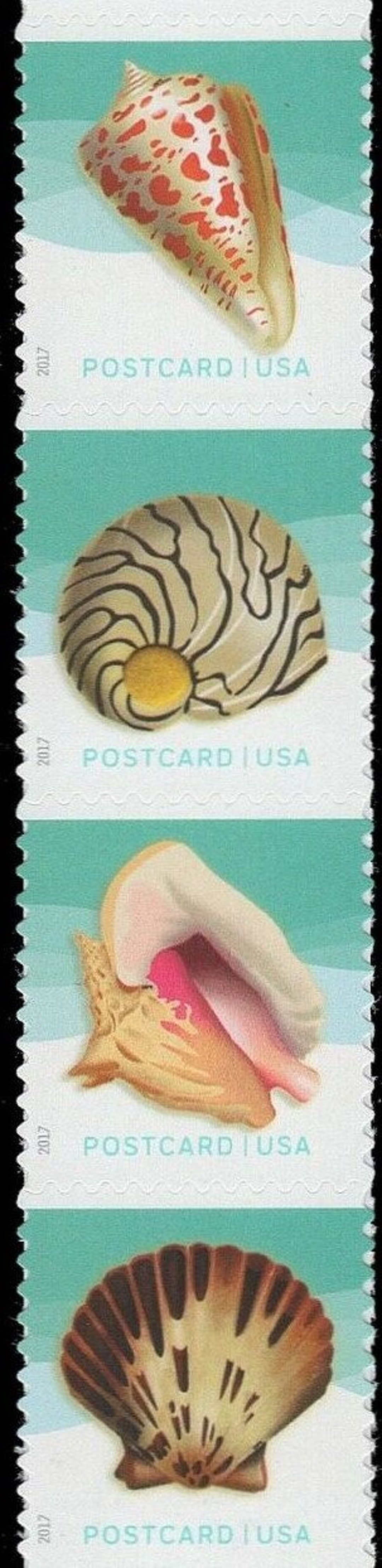 Sea Shells Strip of 4 Postcard Forever 34c Postage Stamps MNH, OG ...