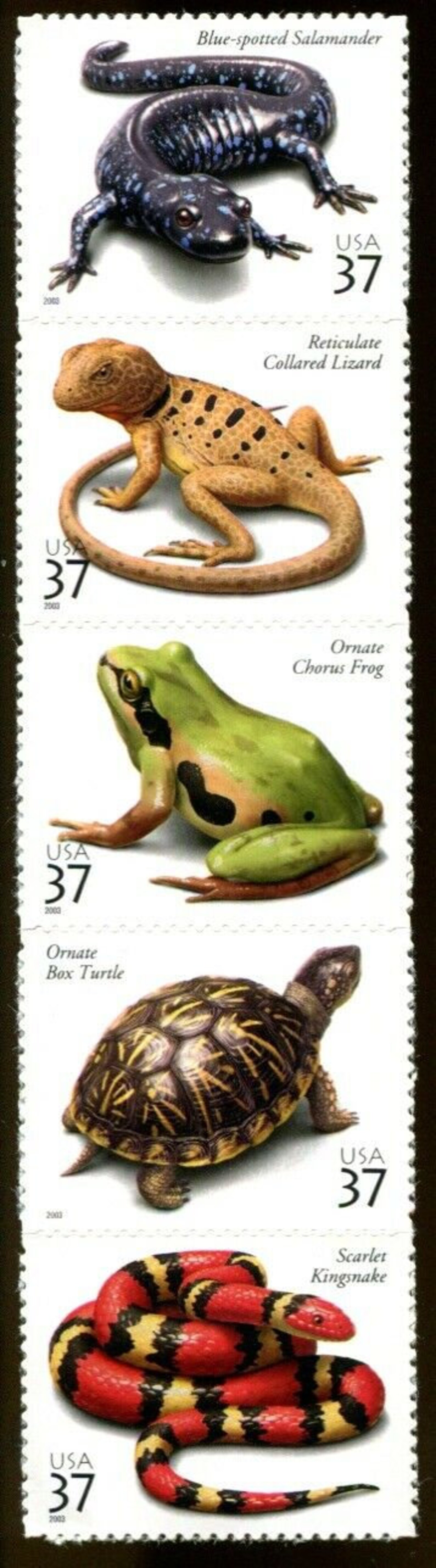Reptiles & Amphibians Strip Of 5 37c Postage Stamps Sc | Etsy