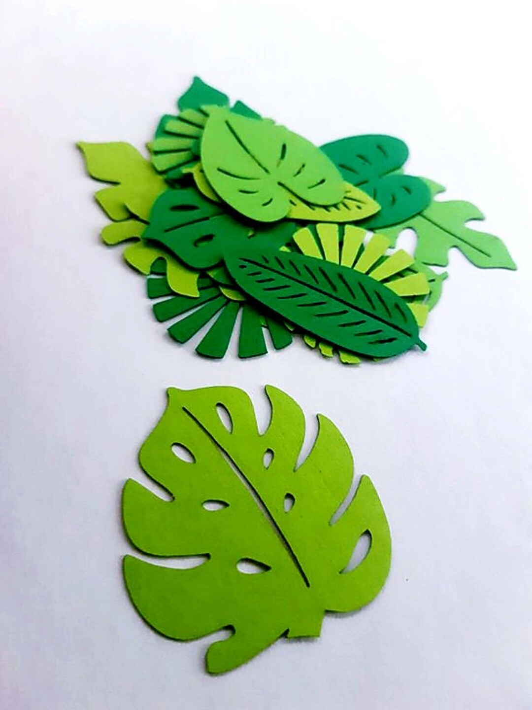 Variety of Leaves Die Cut Outs Jungle Themed Party Decor - Etsy