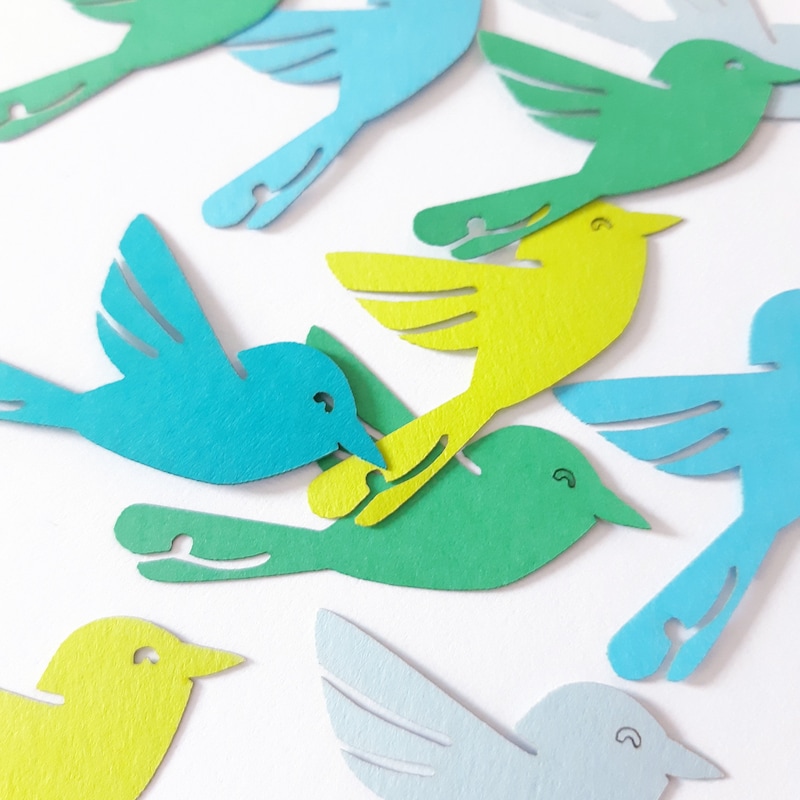 Bird Confetti - Etsy