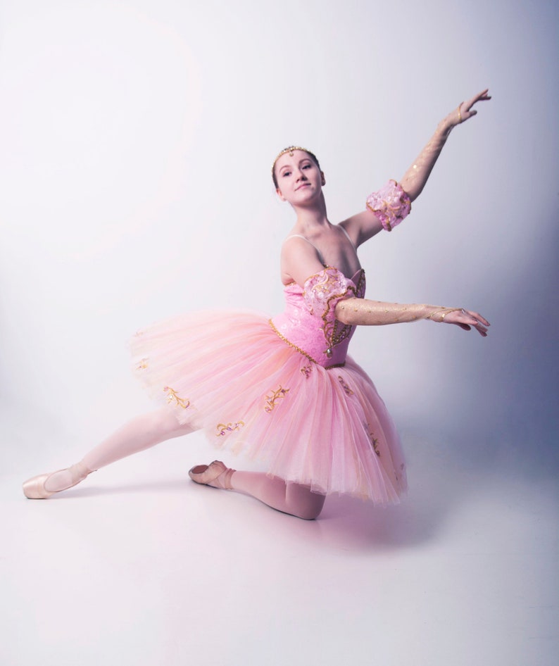 Professional Tutu Stage Ballet Costume, Ballet Dress, Ballet Skirt - F ...