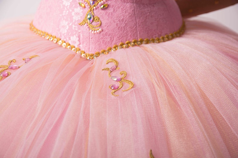 Professional Tutu Stage Ballet Costume, Ballet Dress, Ballet Skirt - F ...