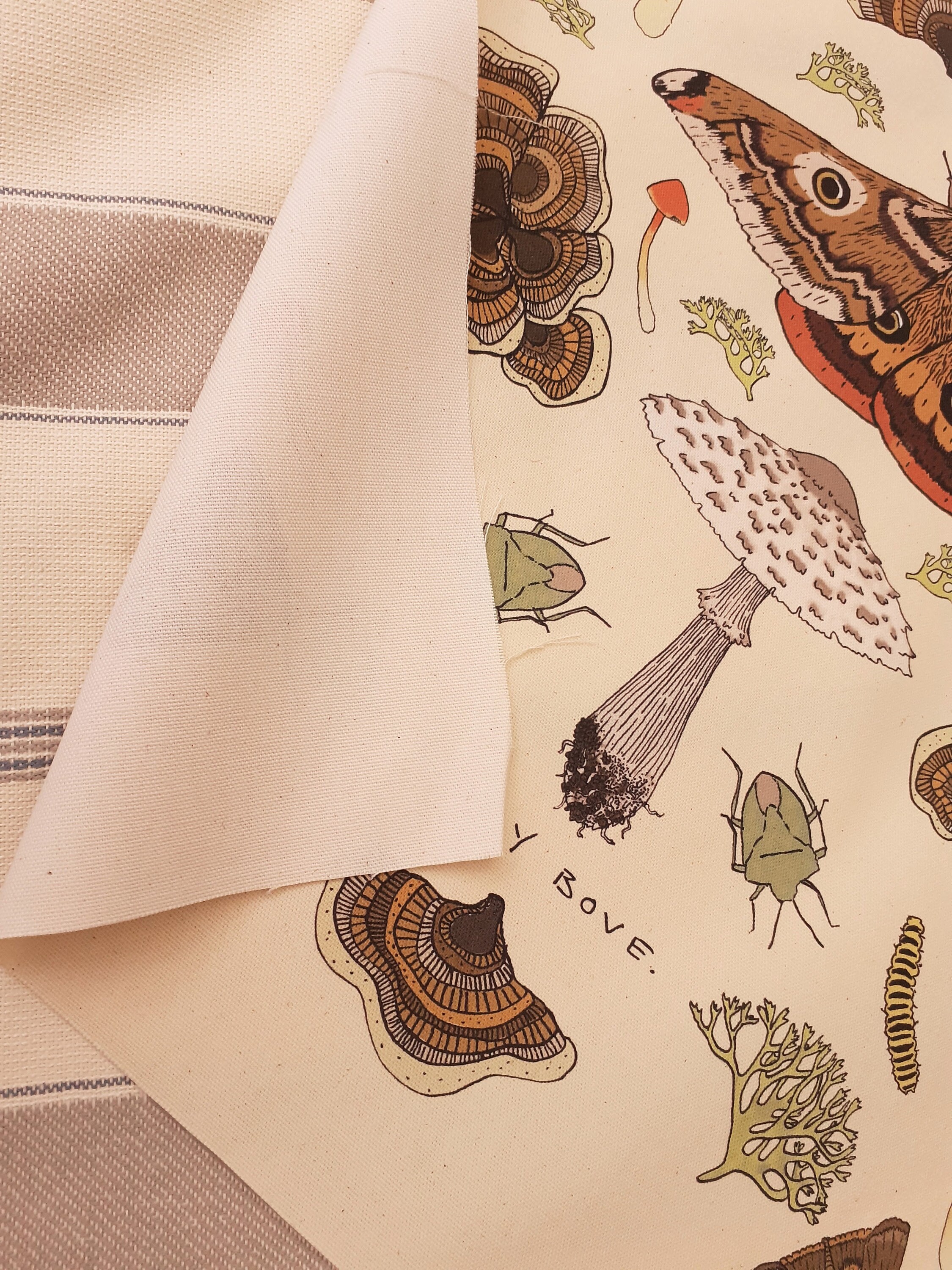 Textile Poster. Moths & Mushrooms Organic Cotton Cloth Poster | Etsy
