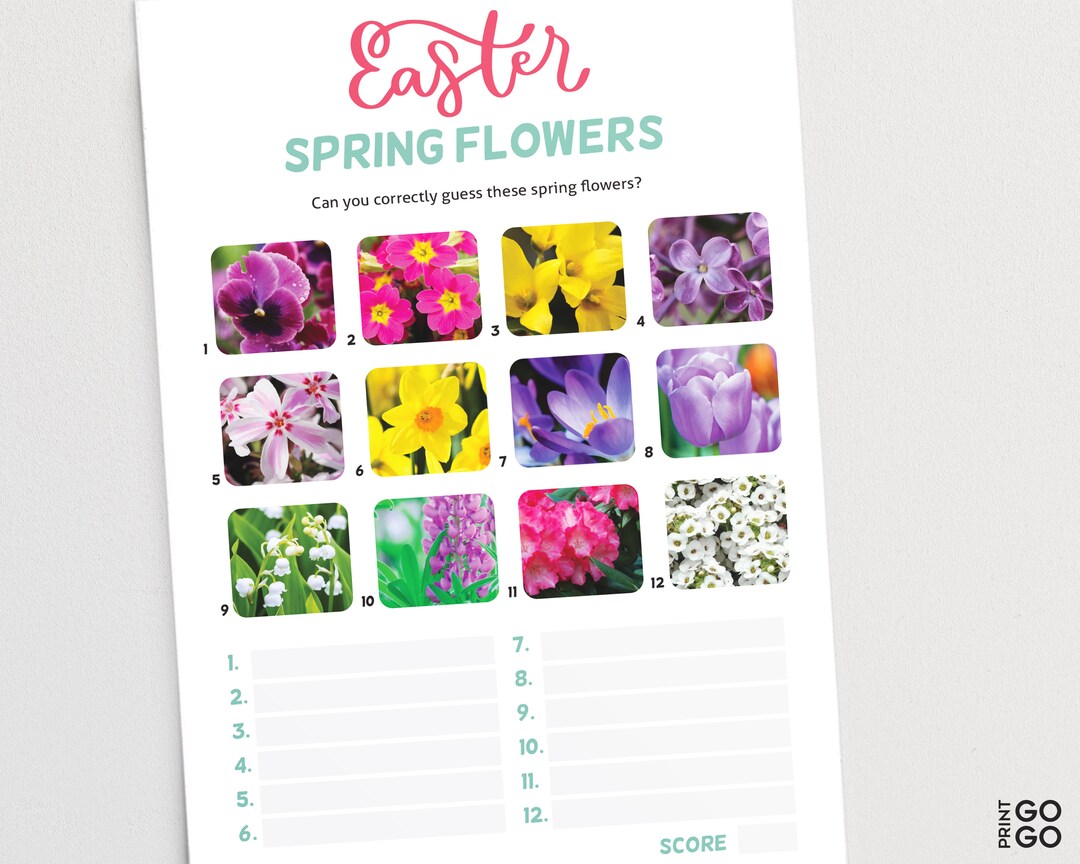 Spring Flowers Picture Quiz the Fun Family Trivia Game of - Etsy UK