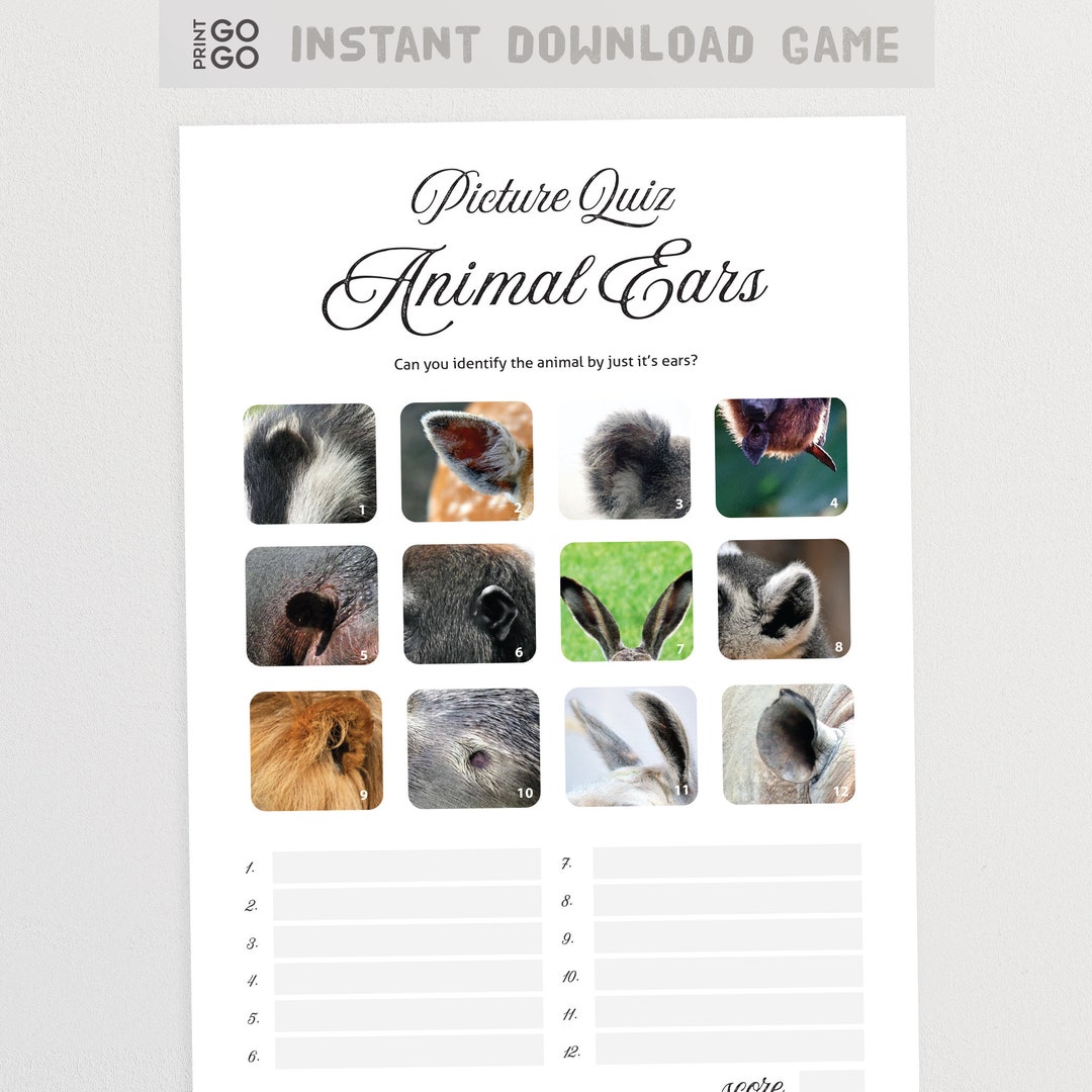 Picture Quiz - Animal Ears | Pub Quiz Picture Round | Nature Trivia ...