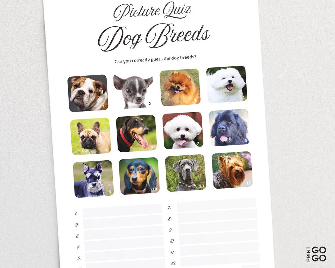 Picture Quiz Dog Breeds Pub Quiz Picture Round Animal - Etsy