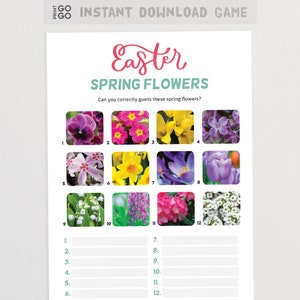 Spring Flowers Picture Quiz - the Fun Family Trivia Game of Plant ...