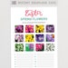 Spring Flowers Picture Quiz - the Fun Family Trivia Game of Plant ...