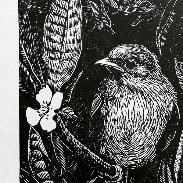 Bird Linocut - Etsy