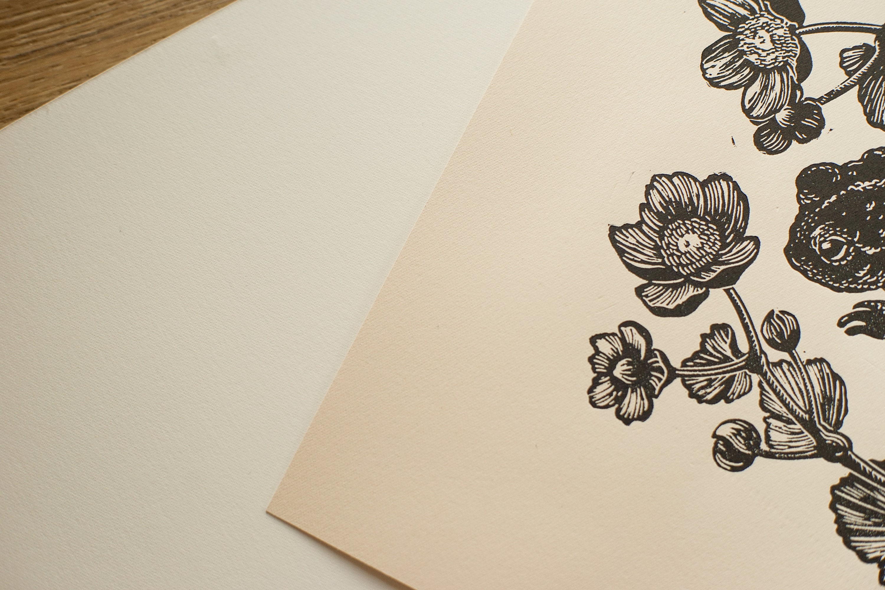 Toad - Original Handmade Linocut Print - Etsy