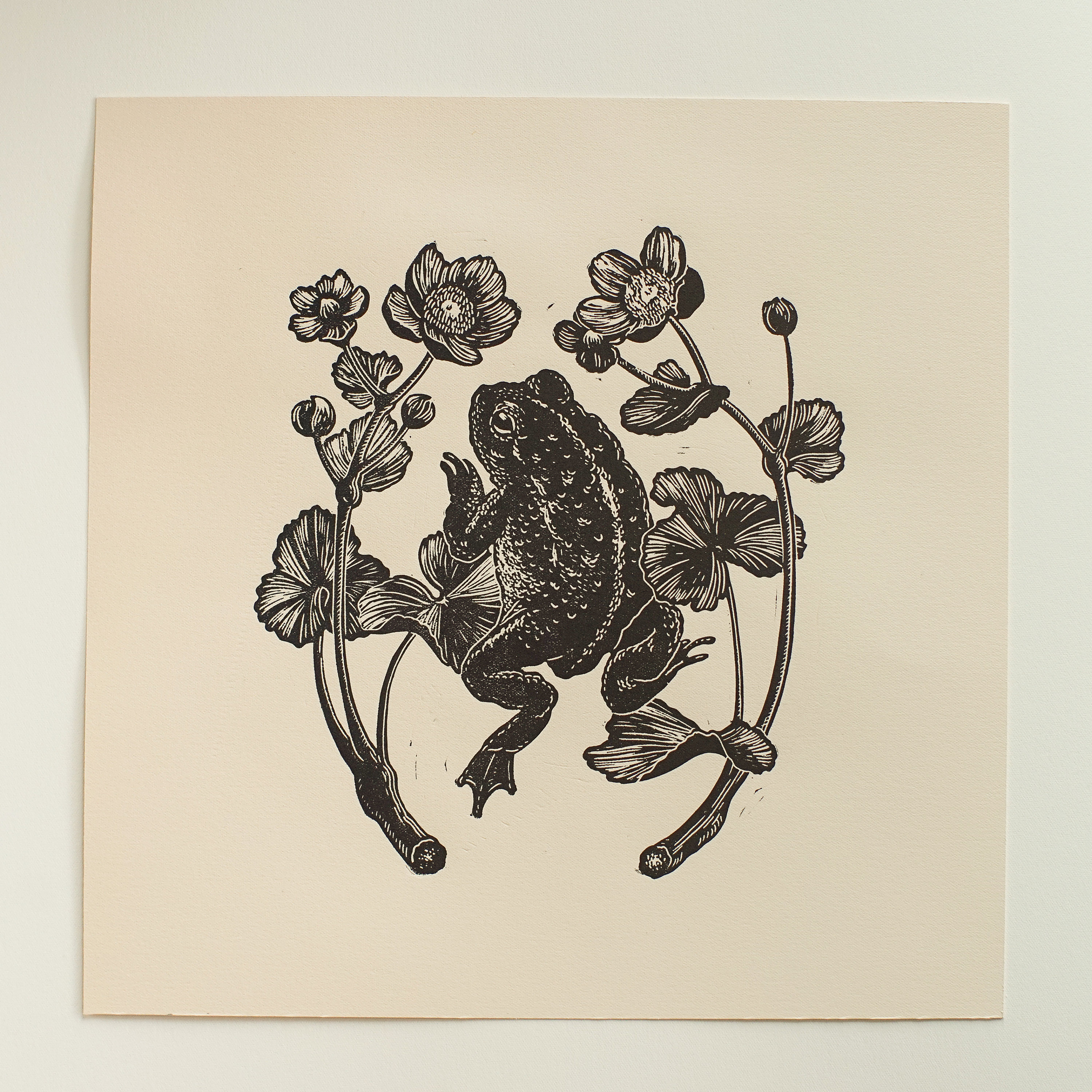 Toad Original Handmade Linocut Print - Etsy