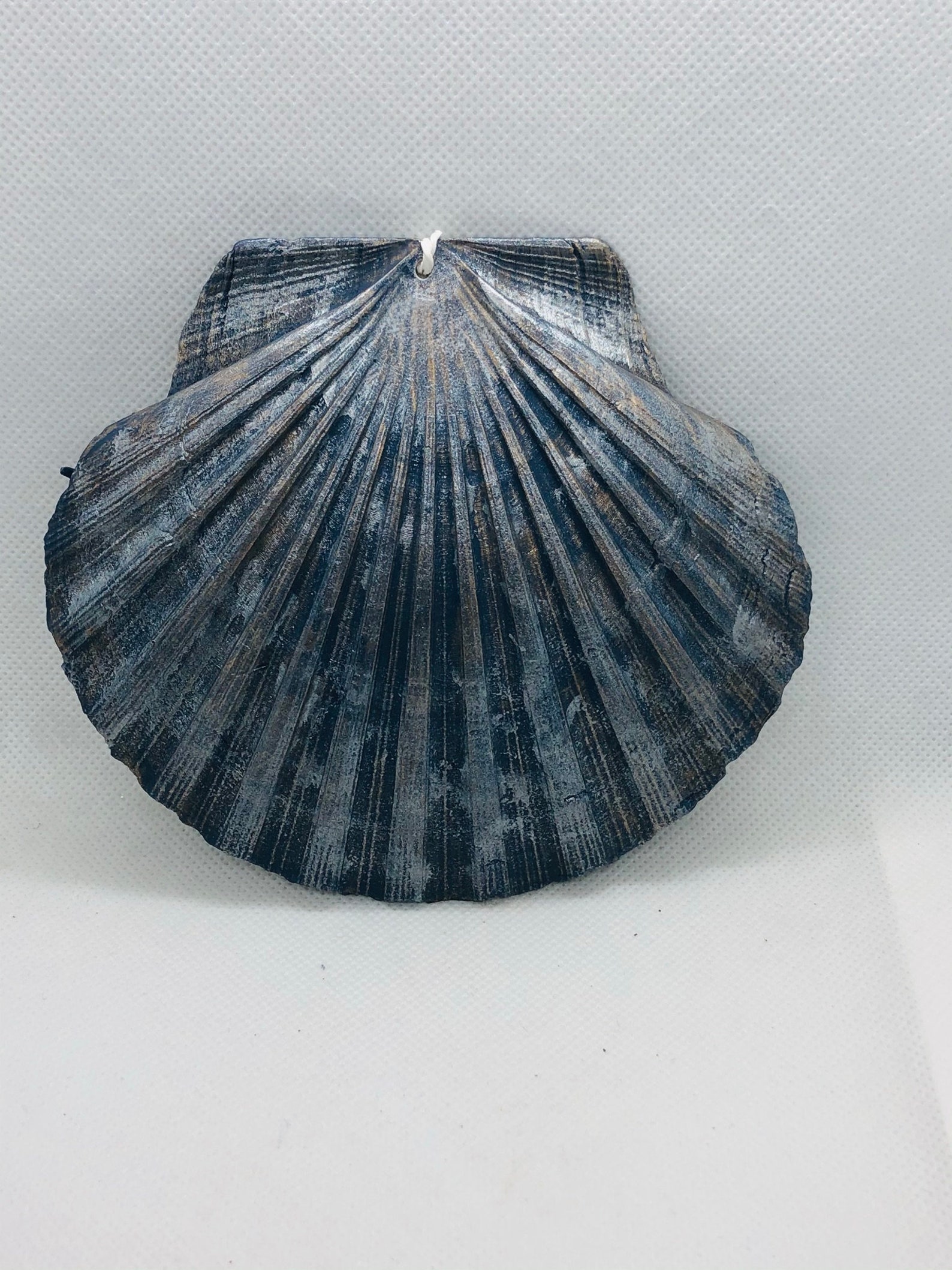 Media Art on Scallop Shell | Etsy