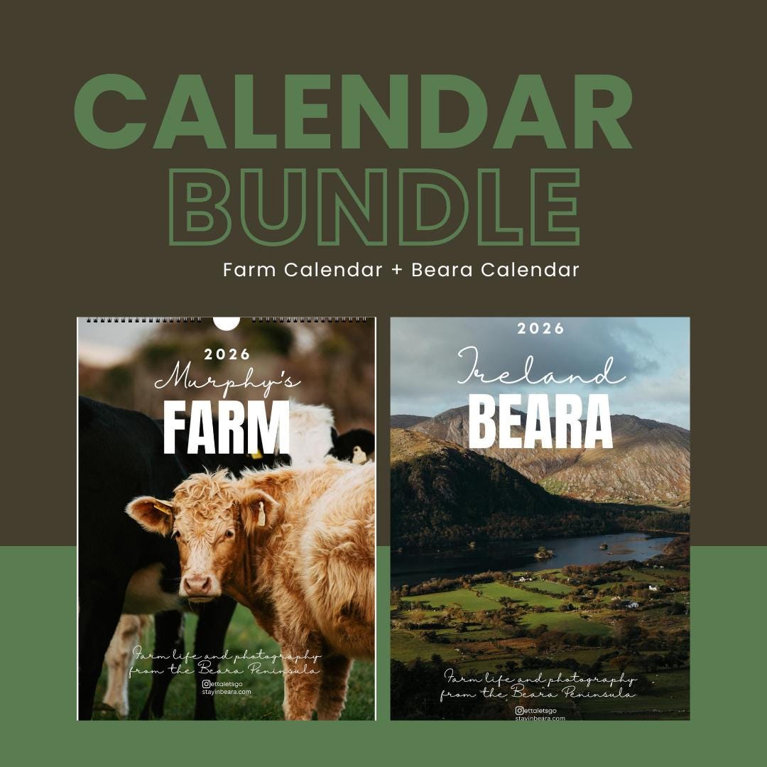 Calendar Bundle - Beara & Farm Calendar (set of 2) - Etsy