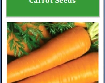 Chantenay Red Core Carrot Seeds for Planting NON-GMO Fresh Heirloom ...