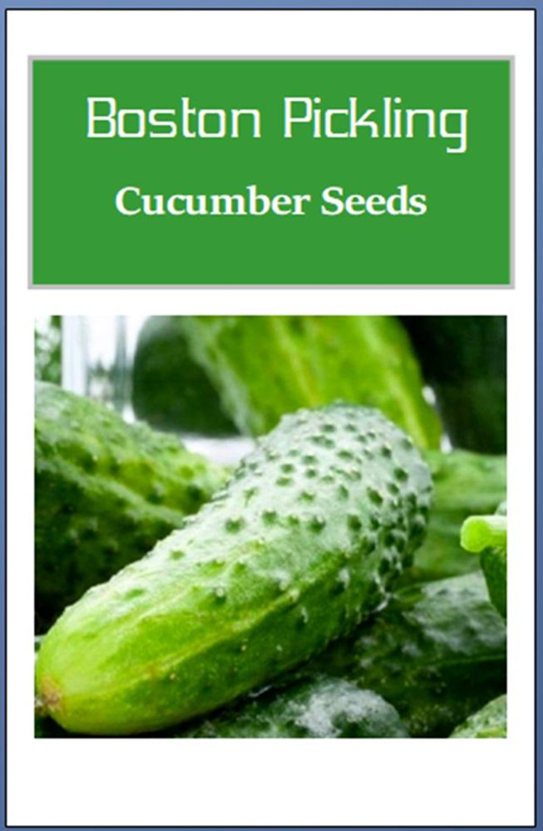 Boston Pickling Cucumber Seeds: Heirloom Non-gmo Garden Vegetable - Etsy