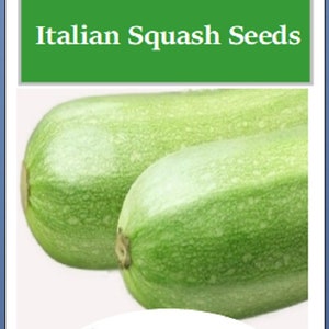 Italian Squash Zucchini Seeds NON-GMO Heirloom Fresh Garden Seeds - Etsy