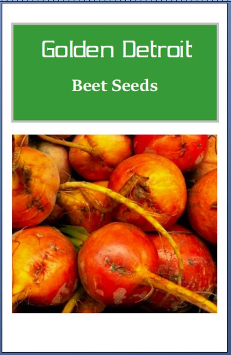 Golden Detroit Beet Seeds | NON-GMO | Heirloom | Fresh Garden Seeds - Etsy