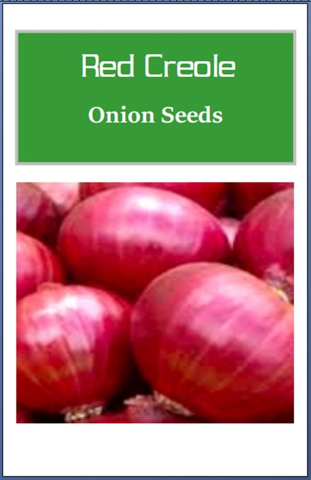 Red Creole Onion Seeds: Fresh Heirloom, NON-GMO - Etsy