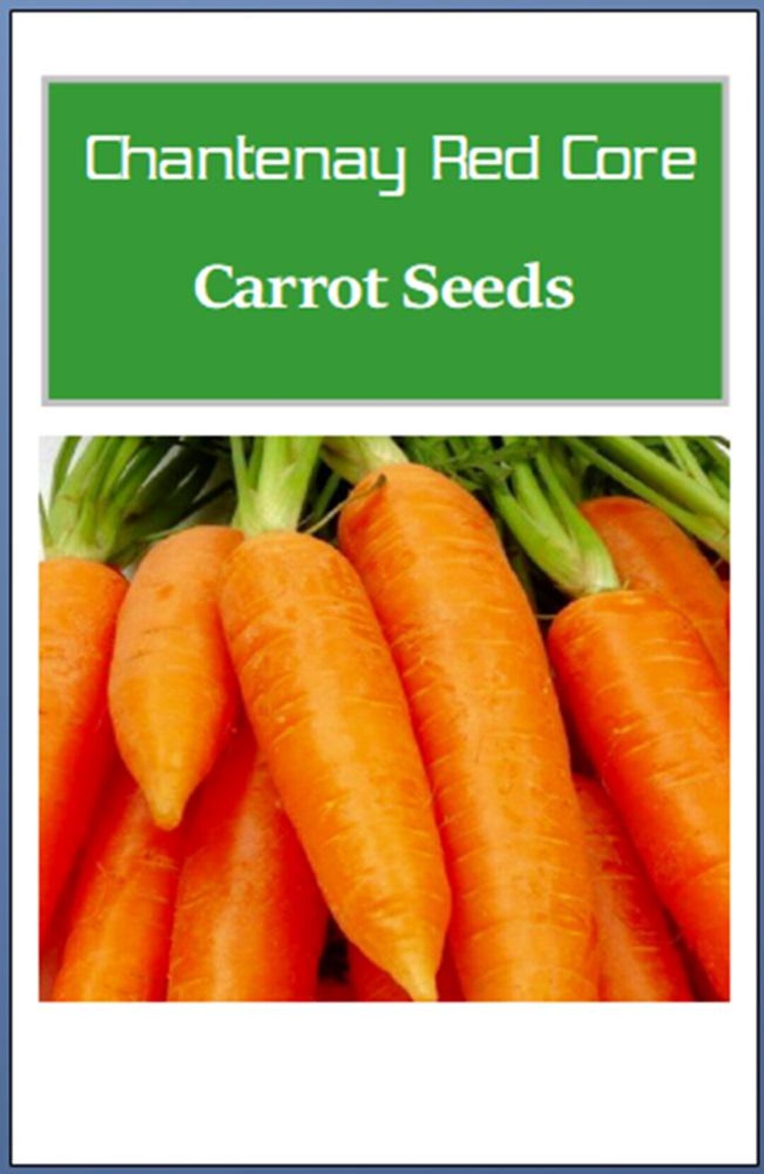 Chantenay Red Core Carrot Seeds for Planting NON-GMO Fresh Heirloom ...