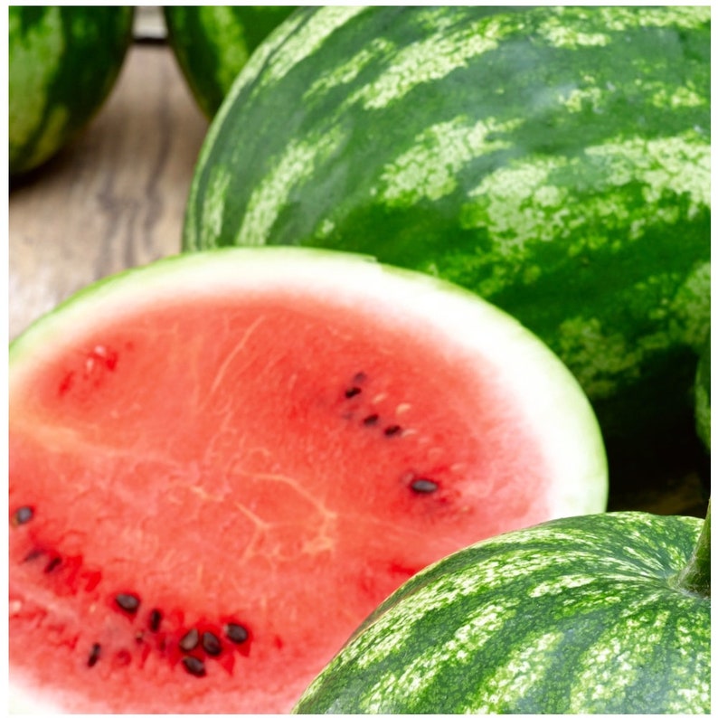 Cal Sweet Watermelon Seeds NON-GMO Heirloom Fresh Garden - Etsy