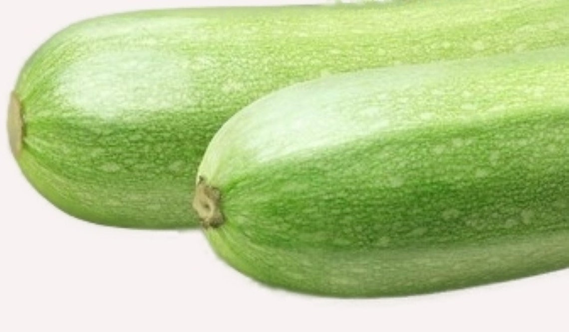 Italian Squash Zucchini Seeds | NON-GMO | Heirloom | Fresh Garden Seeds ...