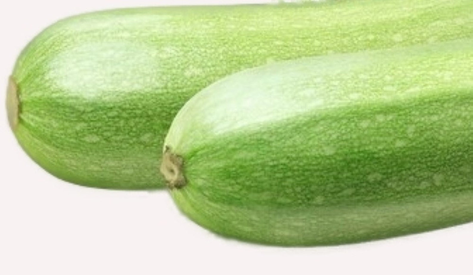 Italian Squash Zucchini Seeds | NON-GMO | Heirloom | Fresh Garden Seeds ...