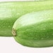 Italian Squash Zucchini Seeds | NON-GMO | Heirloom | Fresh Garden Seeds ...