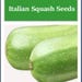 Italian Squash Zucchini Seeds | NON-GMO | Heirloom | Fresh Garden Seeds ...