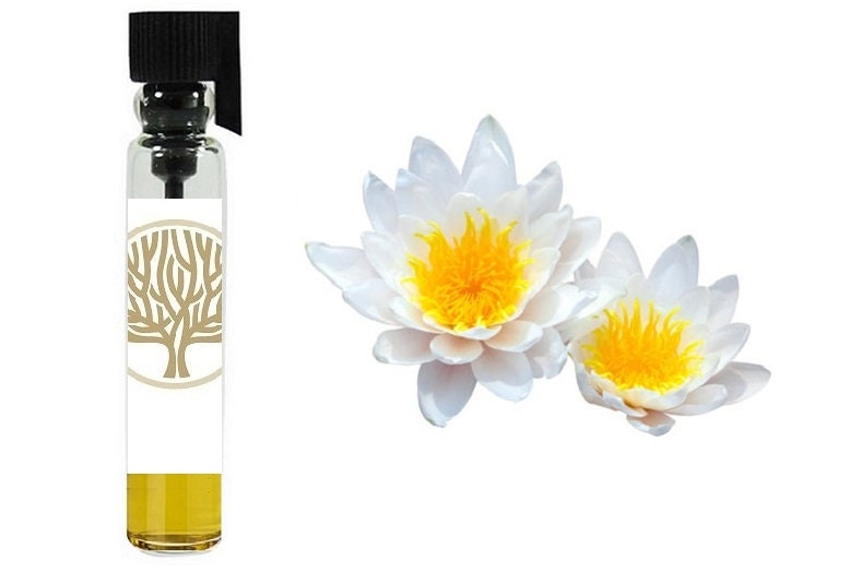 High Quality 100% Pure White Lotus Absolute Oil - Use in Massage Oils ...