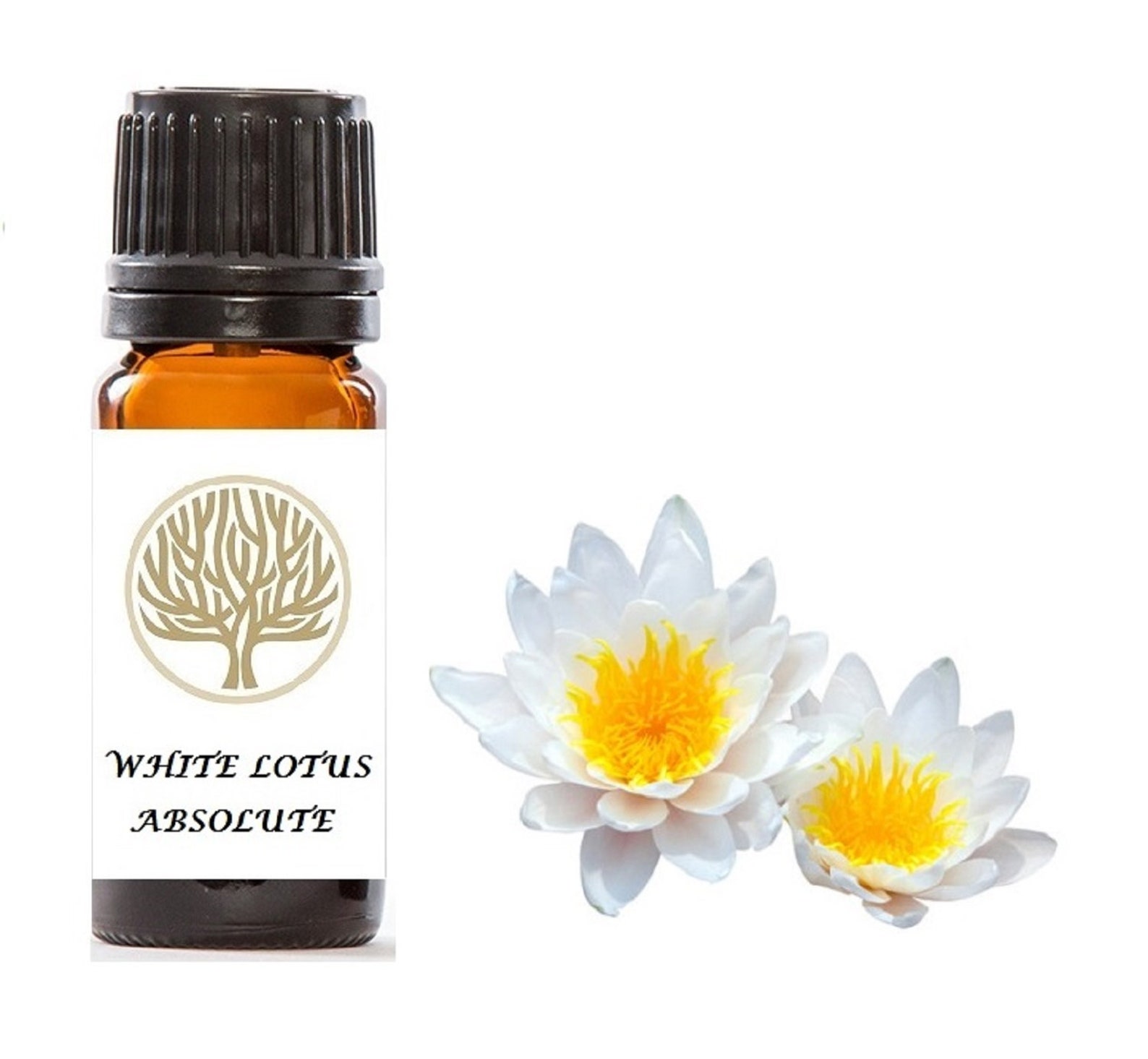 High Quality 100% Pure White Lotus Absolute Oil - Use in Massage Oils ...