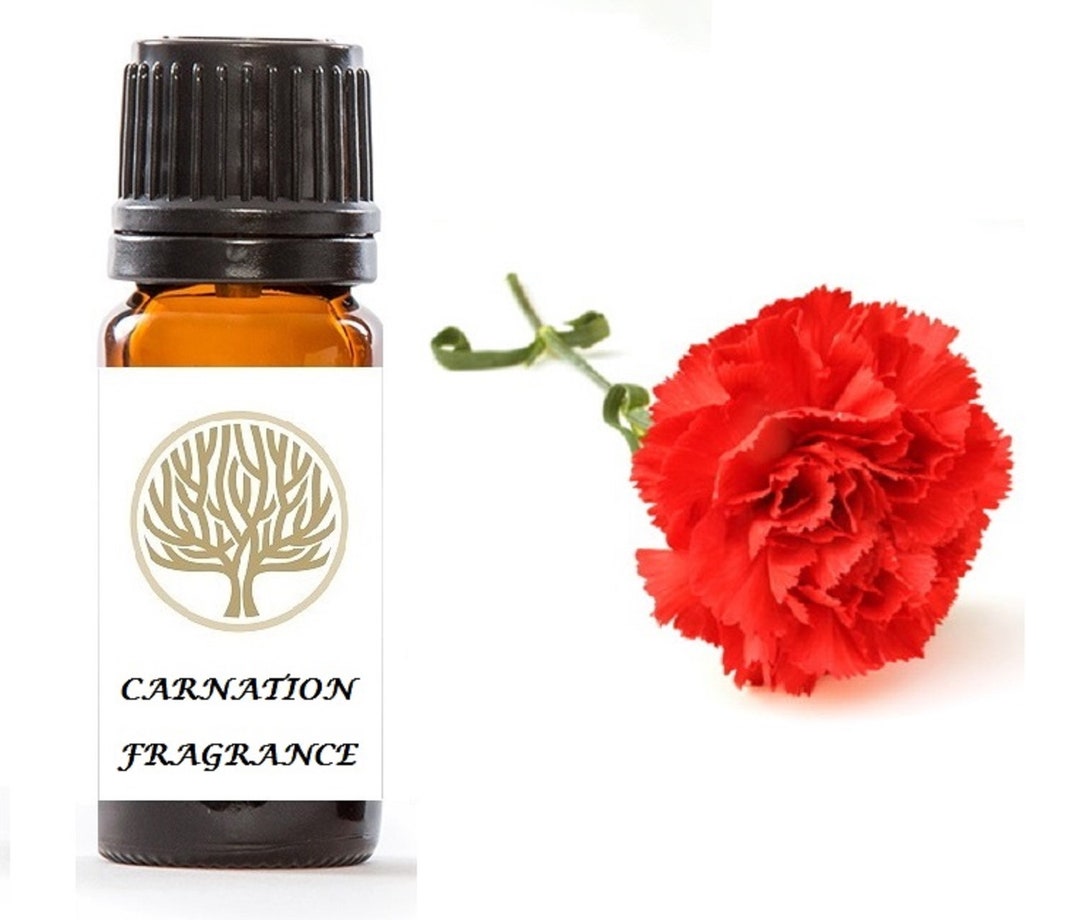 Ekoface CARNATION Fragrance Oils for Oil Burner, Potpourri, Bath ...