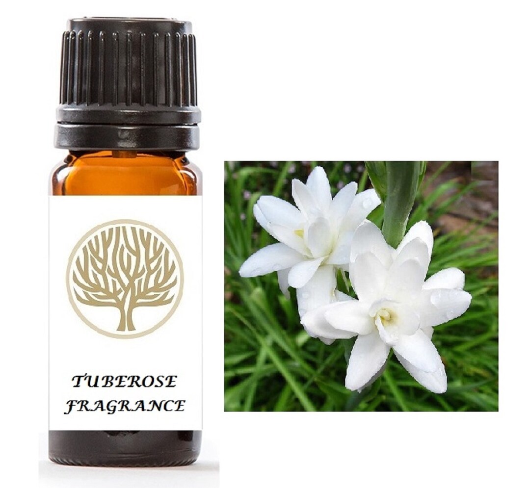 Ekoface TUBEROSE Fragrance Oils for Oil Burner, Potpourri, Bath ...