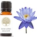 High Quality 100% Pure White Lotus Absolute Oil - Use in Massage Oils ...