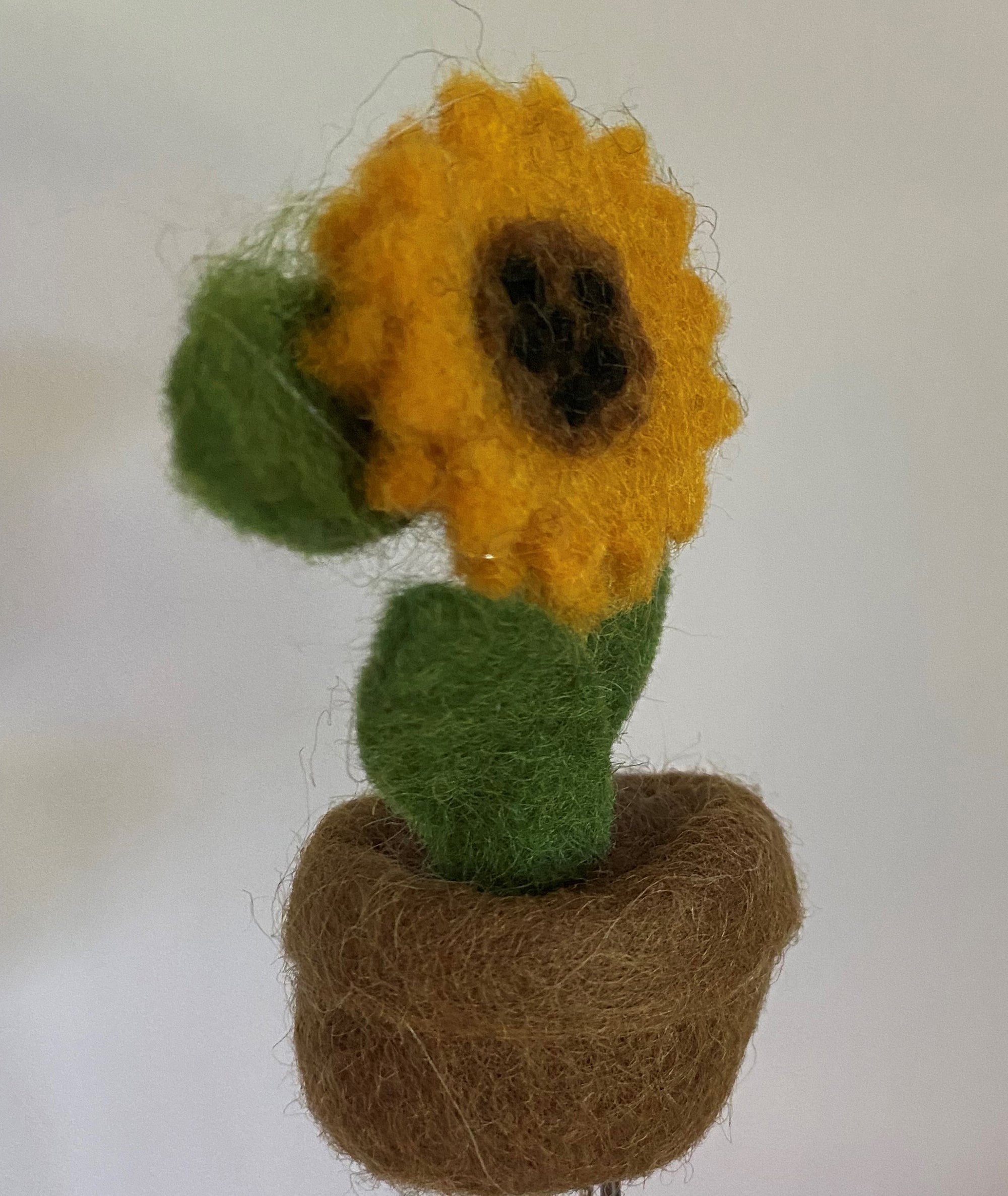 Felted Wool sunflower in Pot - Etsy