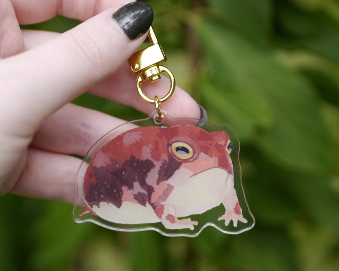 Rain Frog 2.5" Acrylic Charm Keychain - Etsy