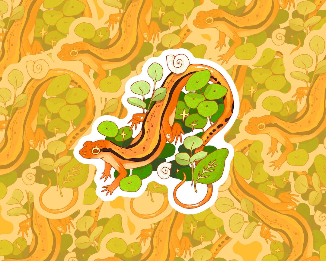 Two-lined Salamander 3" Die-cut Vinyl Sticker - Etsy