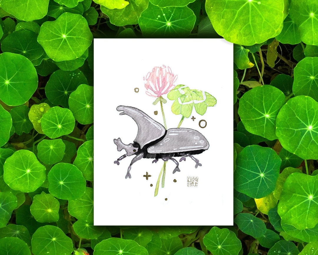 Clover Beetle - 5x7" Watercolour Stag Beetle Art Print - Etsy