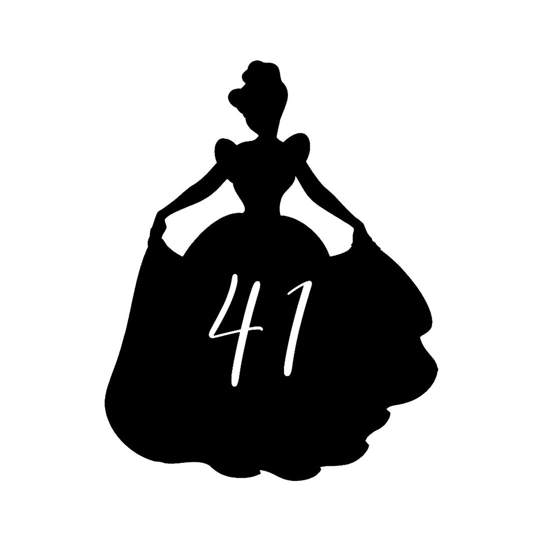 Princess Cinderella Custom Wheelie Bin Sticker - 4 Sizes - 9 Colours ...