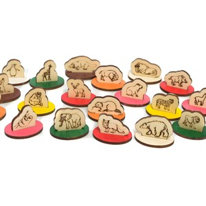 21 Wooden Animal Set – Montessori Zoology and Classification Learning ...