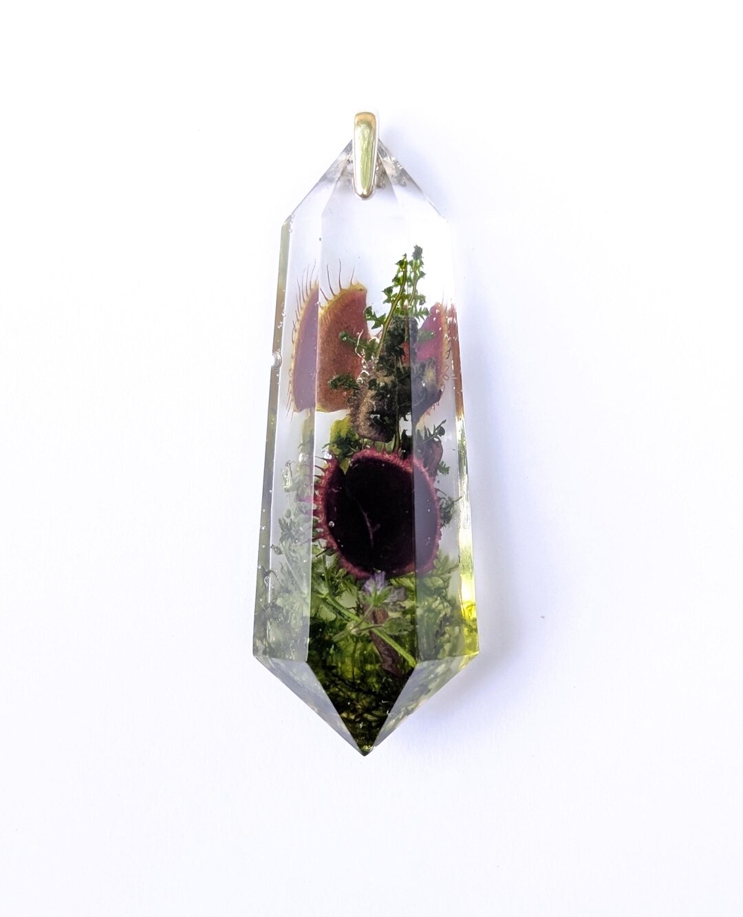 Real Preserved Venus Flytrap and Moss, Carnivorous Bog Plant, Pendant ...