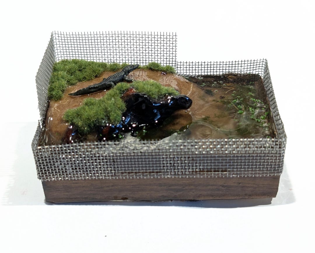 12th Scale Handmade Miniature Dwarf Caiman in Enclosure, Realistic ...