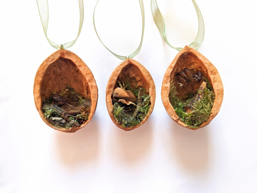 Three Walnut Hanging Decorations, Nature, Woodland Decor, Seasonal ...