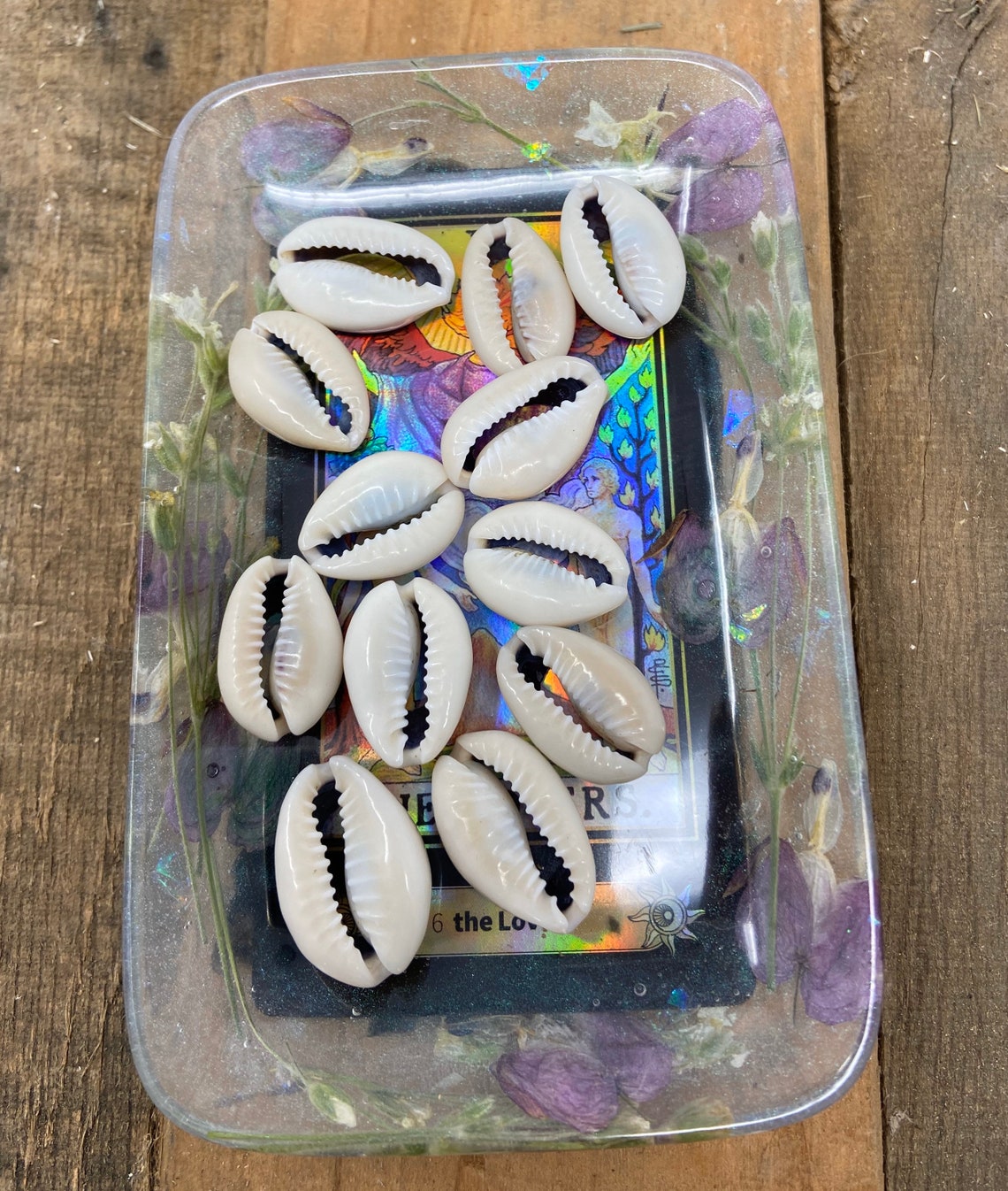 15 Shells for Braids or Dreads Cowrie Shells Hair Shells | Etsy