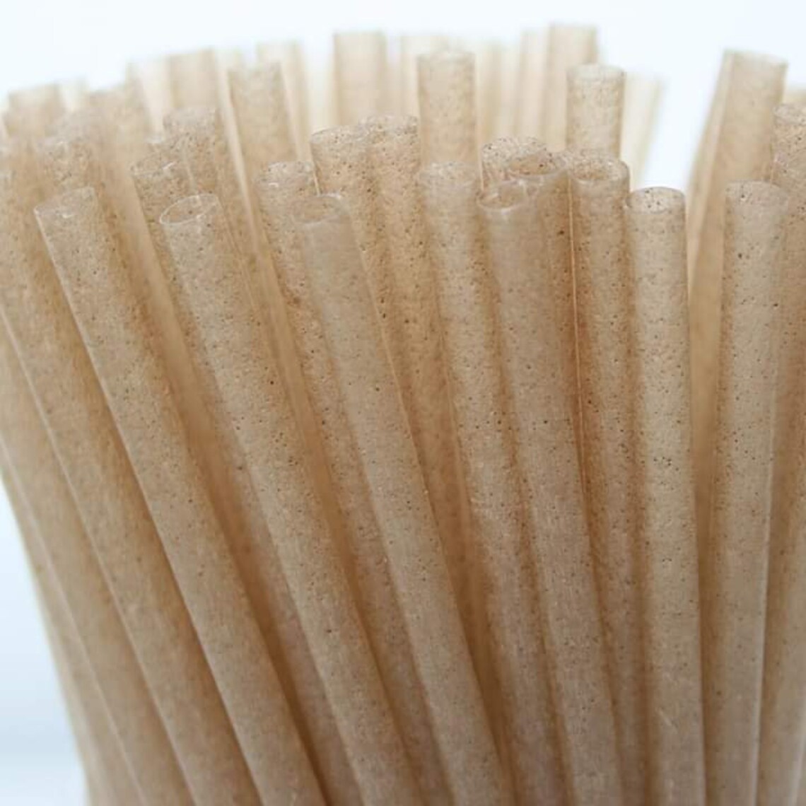 200 Pack Natural Agave Fiber Drinking Straws 100% Biodegradable, Eco ...