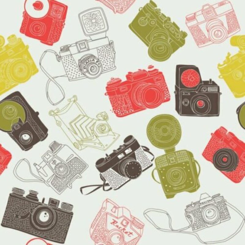Camera Fabric - Etsy